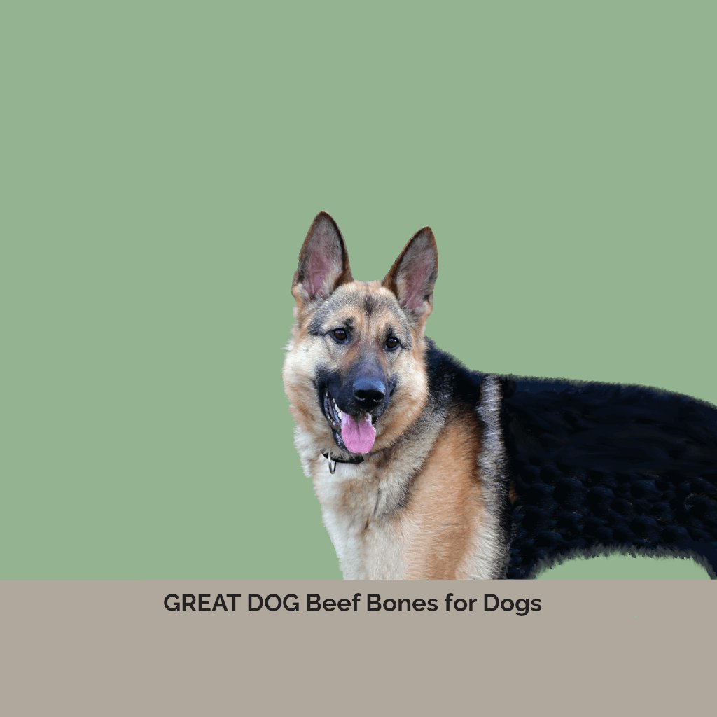 GREAT DOG Beef Bones for Dogs – GREAT DOG CO.